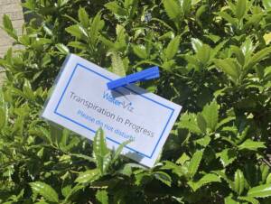 VISSIT: Visual Impairment Scale of Service Intensity of Texas – Paths ...