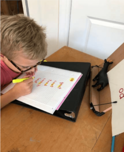 CVI – Paths to Literacy