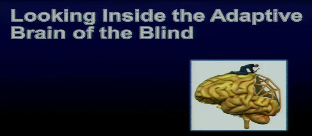 Looking Inside the Adaptive Brain of the Blind: CVI – Paths to Literacy
