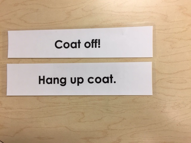 Using Printed Words with Students with CVI, Phase III – Paths to Literacy