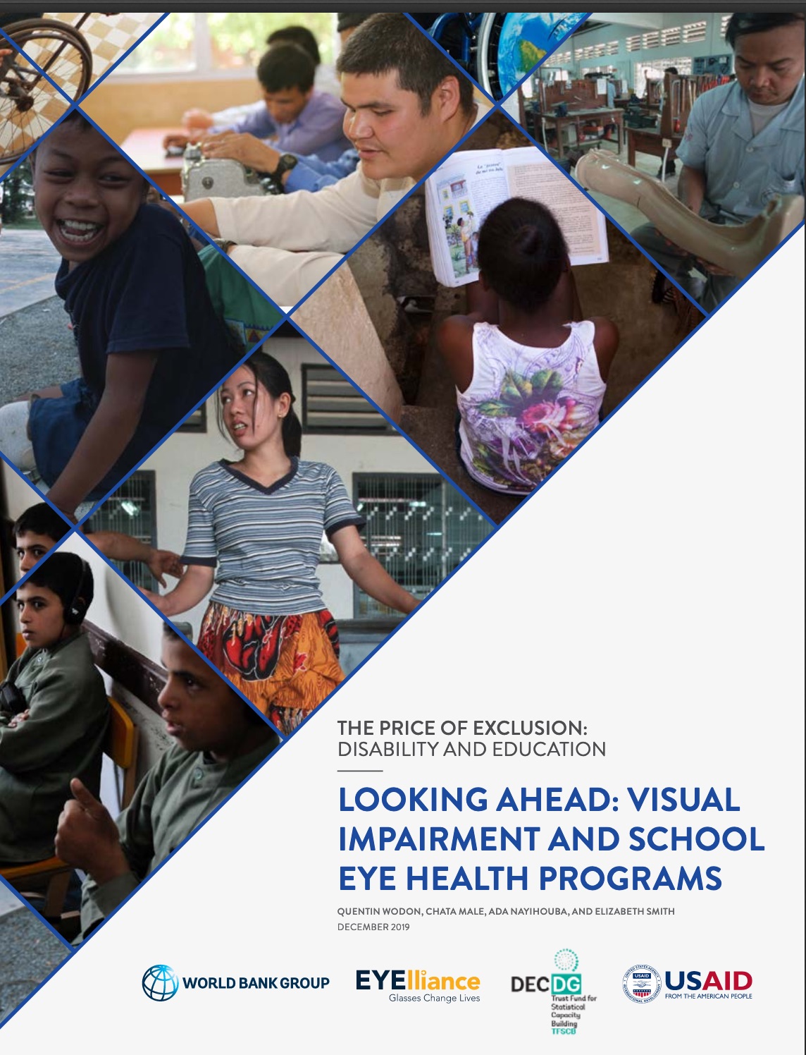 Looking Ahead: Visual Impairment and School Eye Health Programs – Paths ...