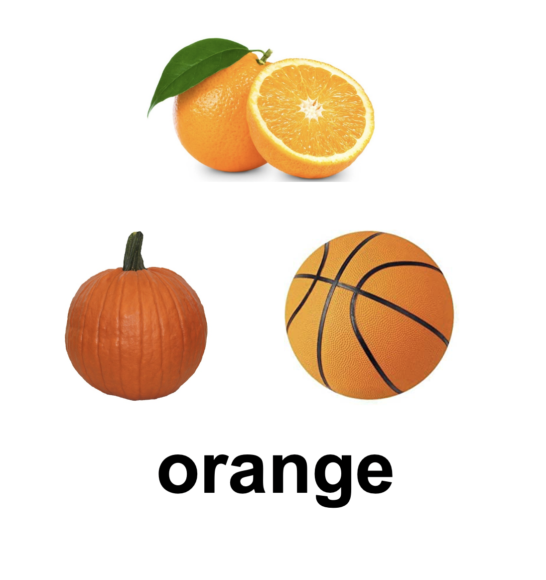 My Color Book – Paths to Literacy