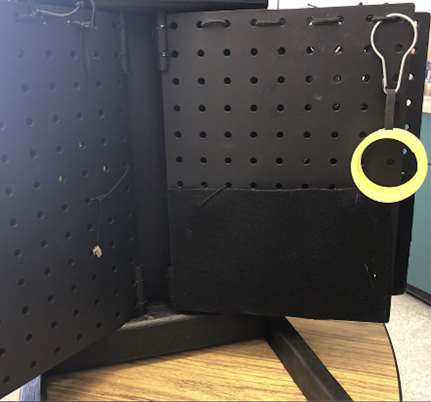 Creating a Pegboard Book for a Learner with Multiple Disabilities ...