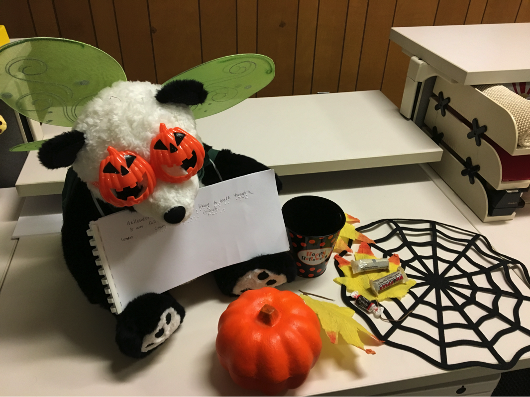 Stories about Routines with Beginning Braille Readers – Paths to Literacy