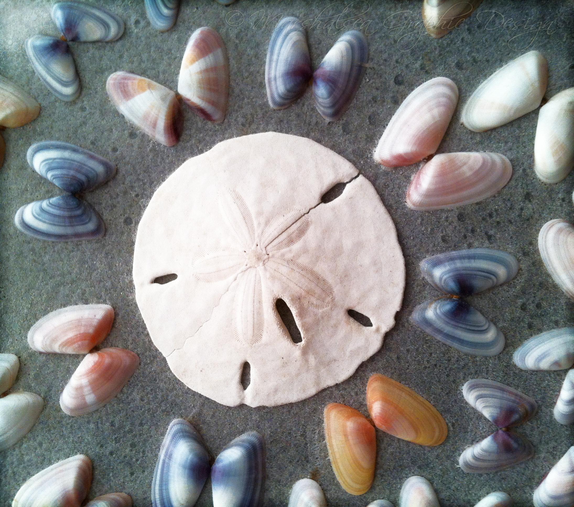 Cross Curricular Planning: Seaside – Paths to Literacy