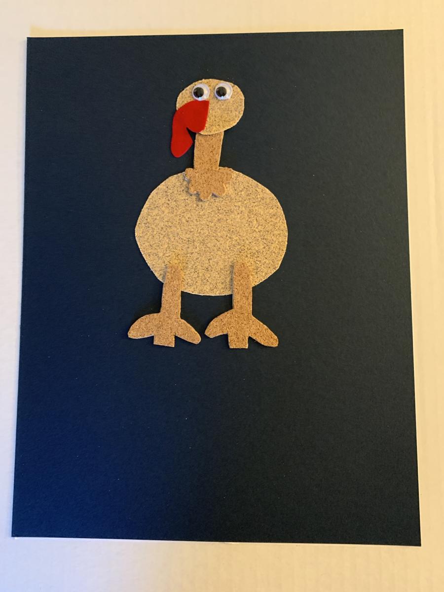 Tactile Turkeys – Paths to Literacy