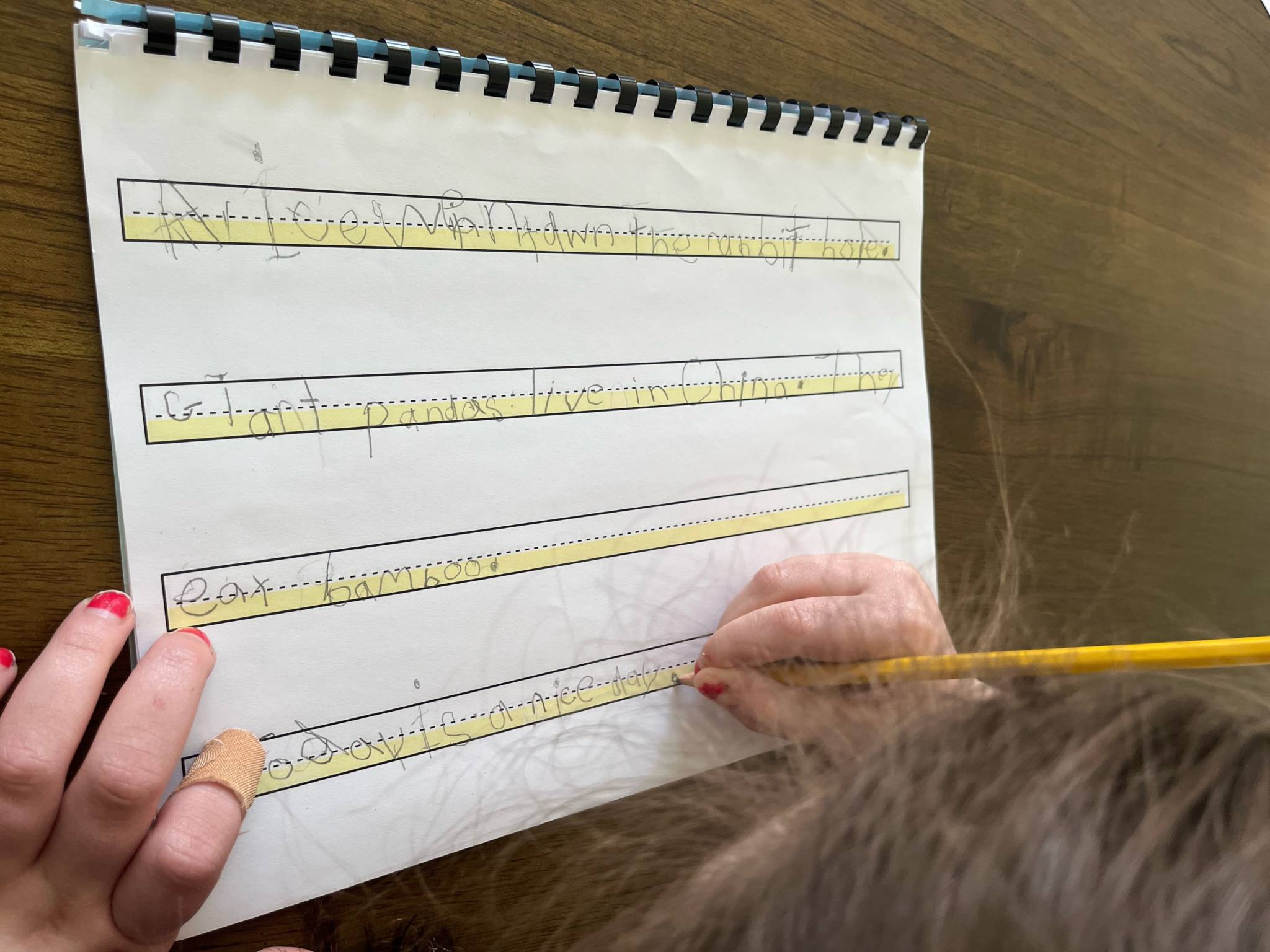 Tools for Handwriting and Print – Paths to Literacy