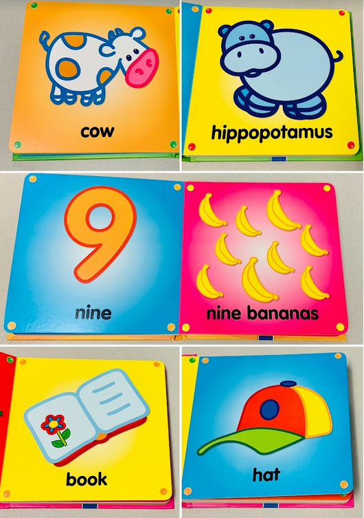 Book Finds: Baby's First Library – Paths to Literacy