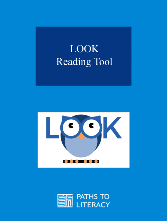 Taking a "Look" at the CVI Reading Tool – Paths to Literacy