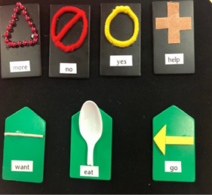 The Importance of Textures – Paths to Literacy