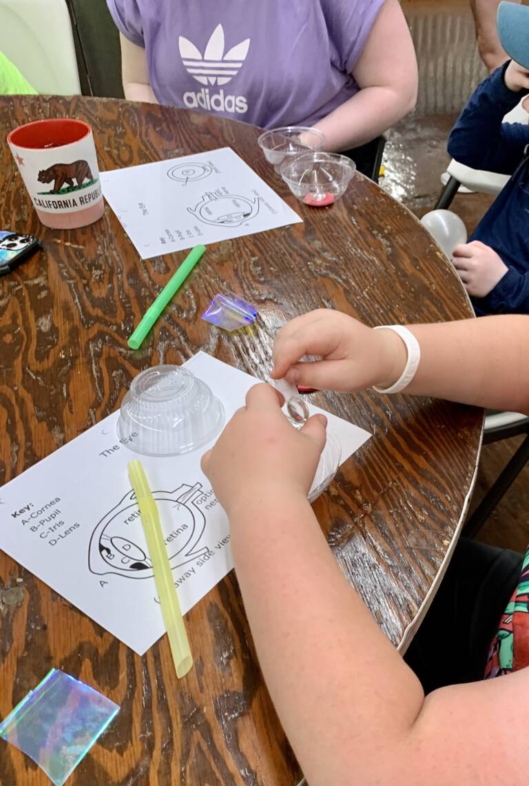 Instructional Strategies for Mathematical Literacy – Paths to Literacy