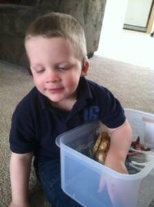 Storybox: Adaptation of Goldilocks and the Three Bears – Paths to Literacy