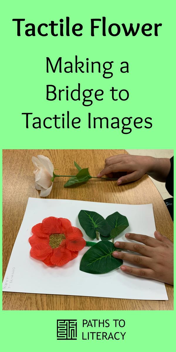 Tactile Flower: Making a Bridge to Tactile Images – Paths to Literacy