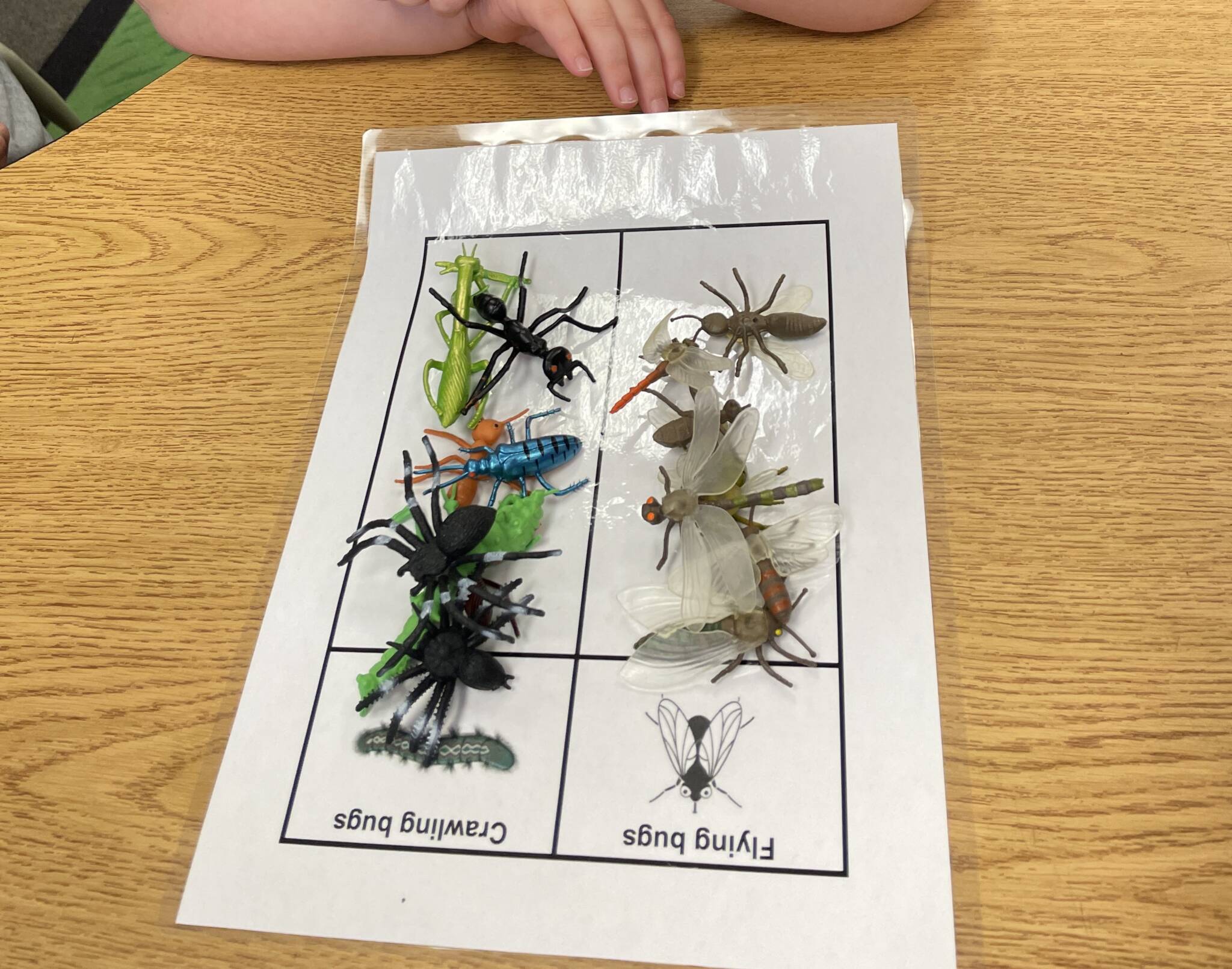 Computer Bugs – Paths to Literacy