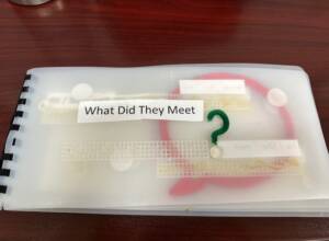 Ideas for Teaching Tracking and other Tactile Skills – Paths to Literacy