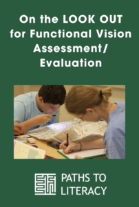 On the LOOK OUT for Functional Vision Assessment/Evaluation – Paths to ...