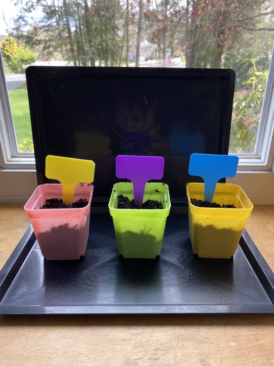 Sensory Gardens for Students with Visual and Multiple Impairments ...