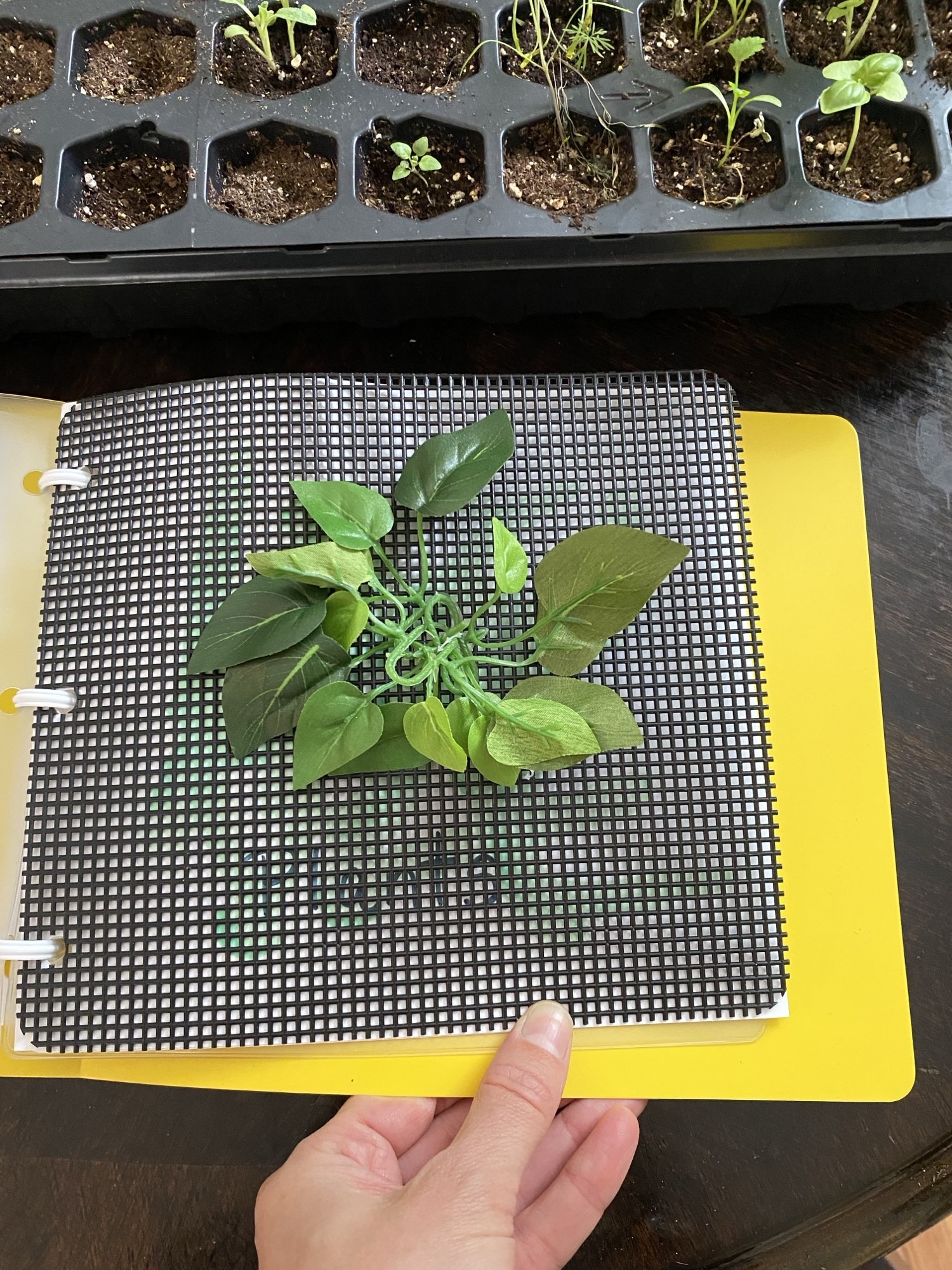 Sensory Gardens for Students with Visual and Multiple Impairments ...