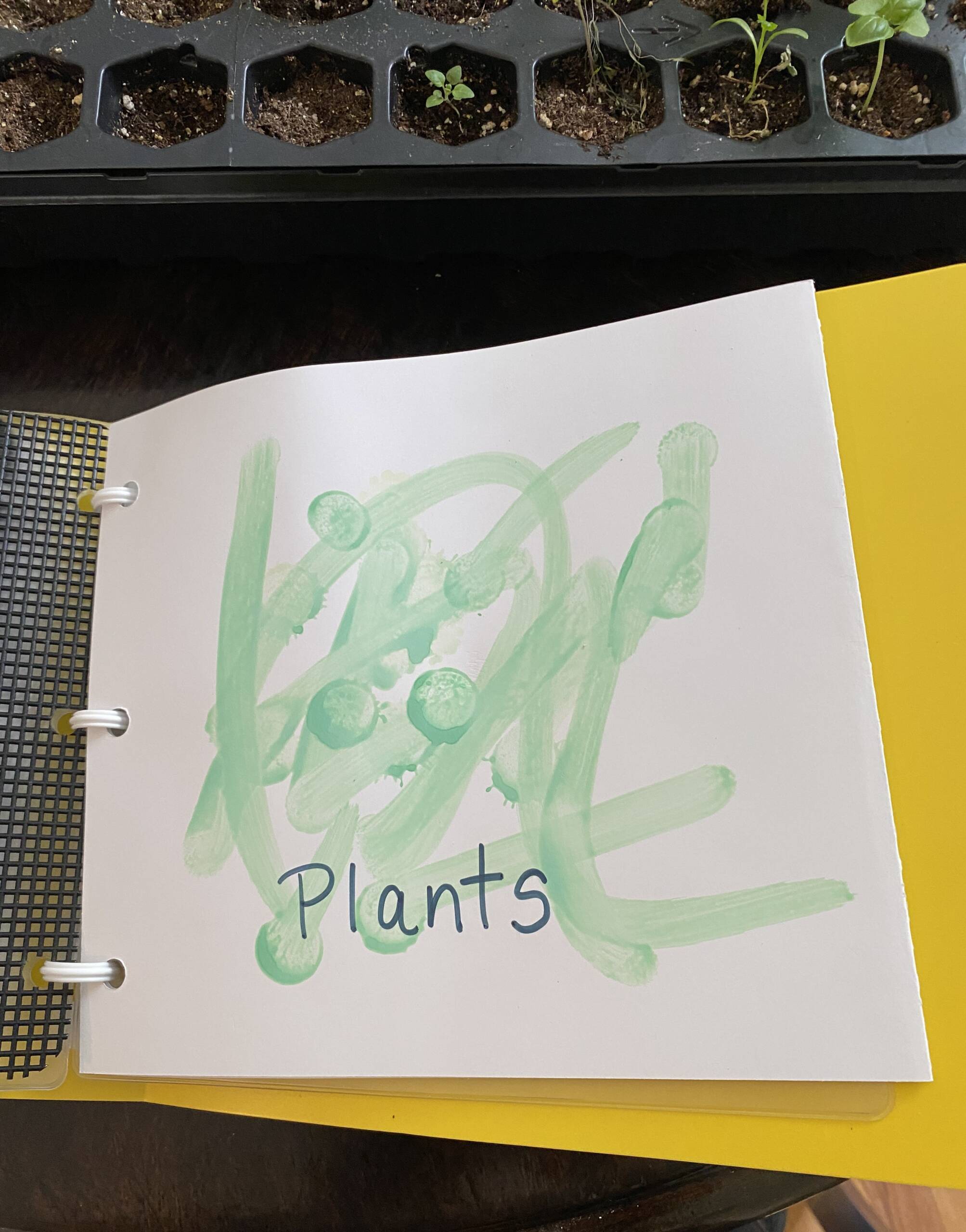 Sensory Gardens for Students with Visual and Multiple Impairments ...