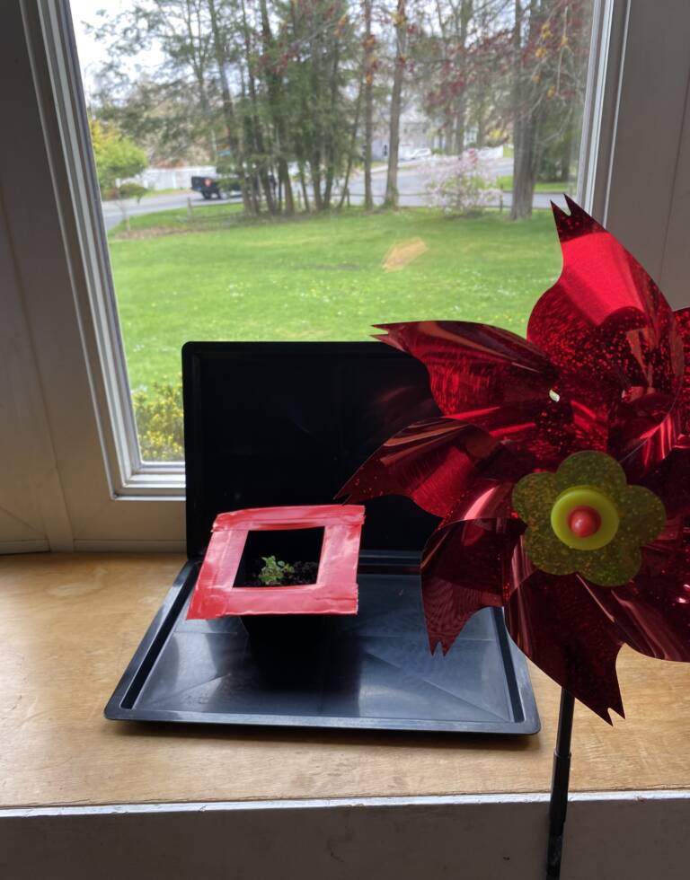 Sensory Gardens for Students with Visual and Multiple Impairments ...
