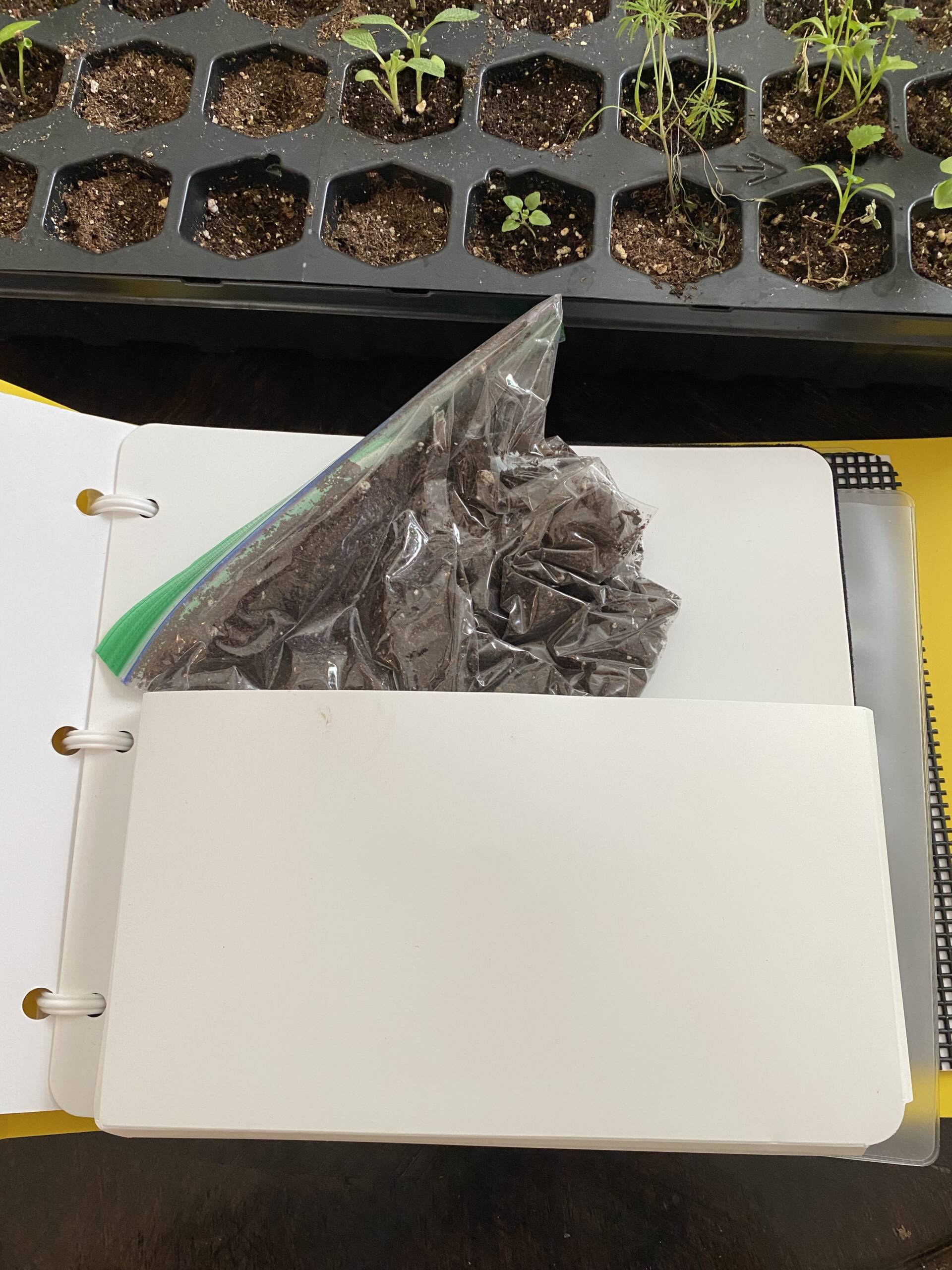 Sensory Gardens for Students with Visual and Multiple Impairments ...