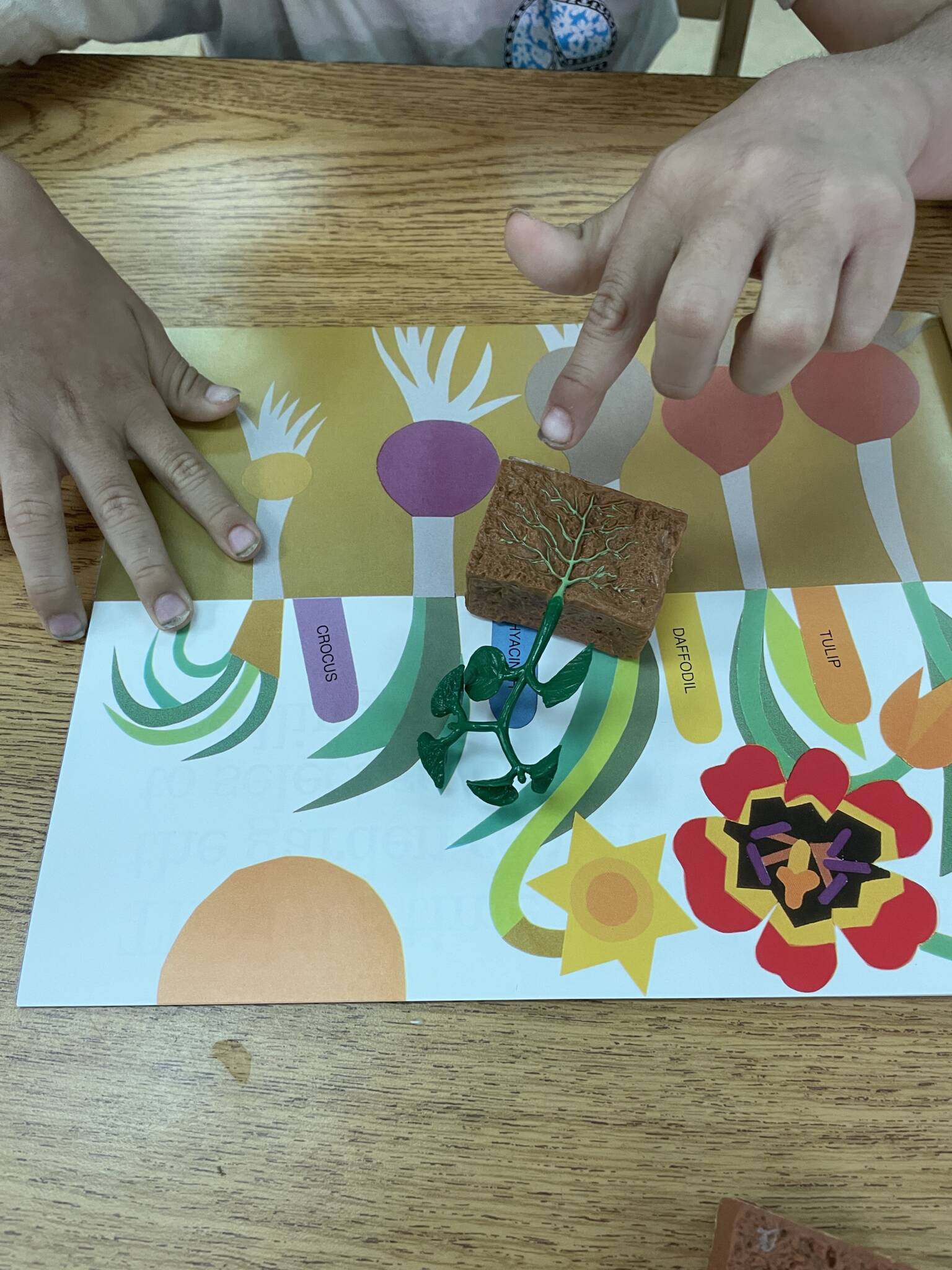 Planting Rainbows – Paths to Literacy