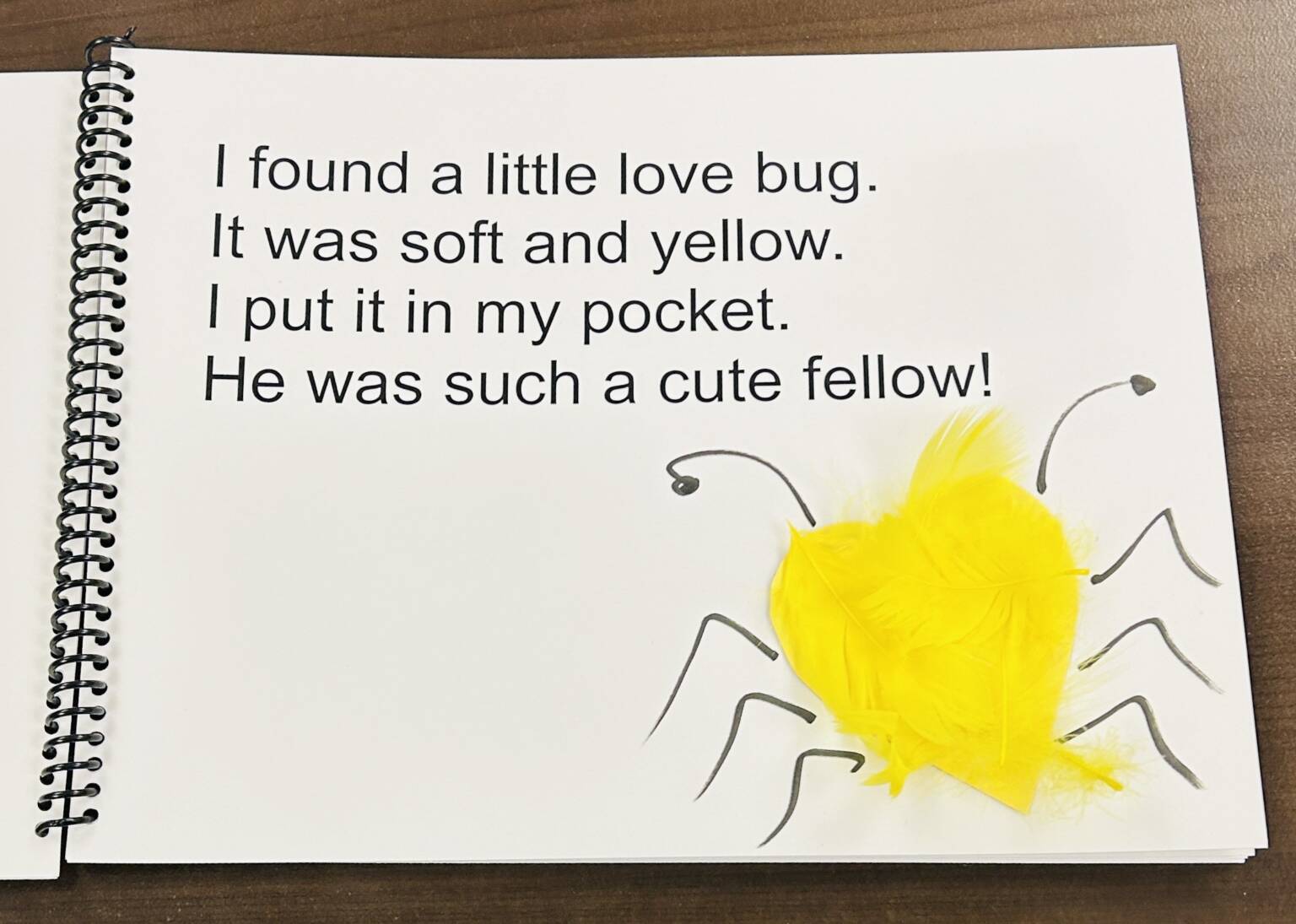 Love Bugs Book – Paths to Literacy