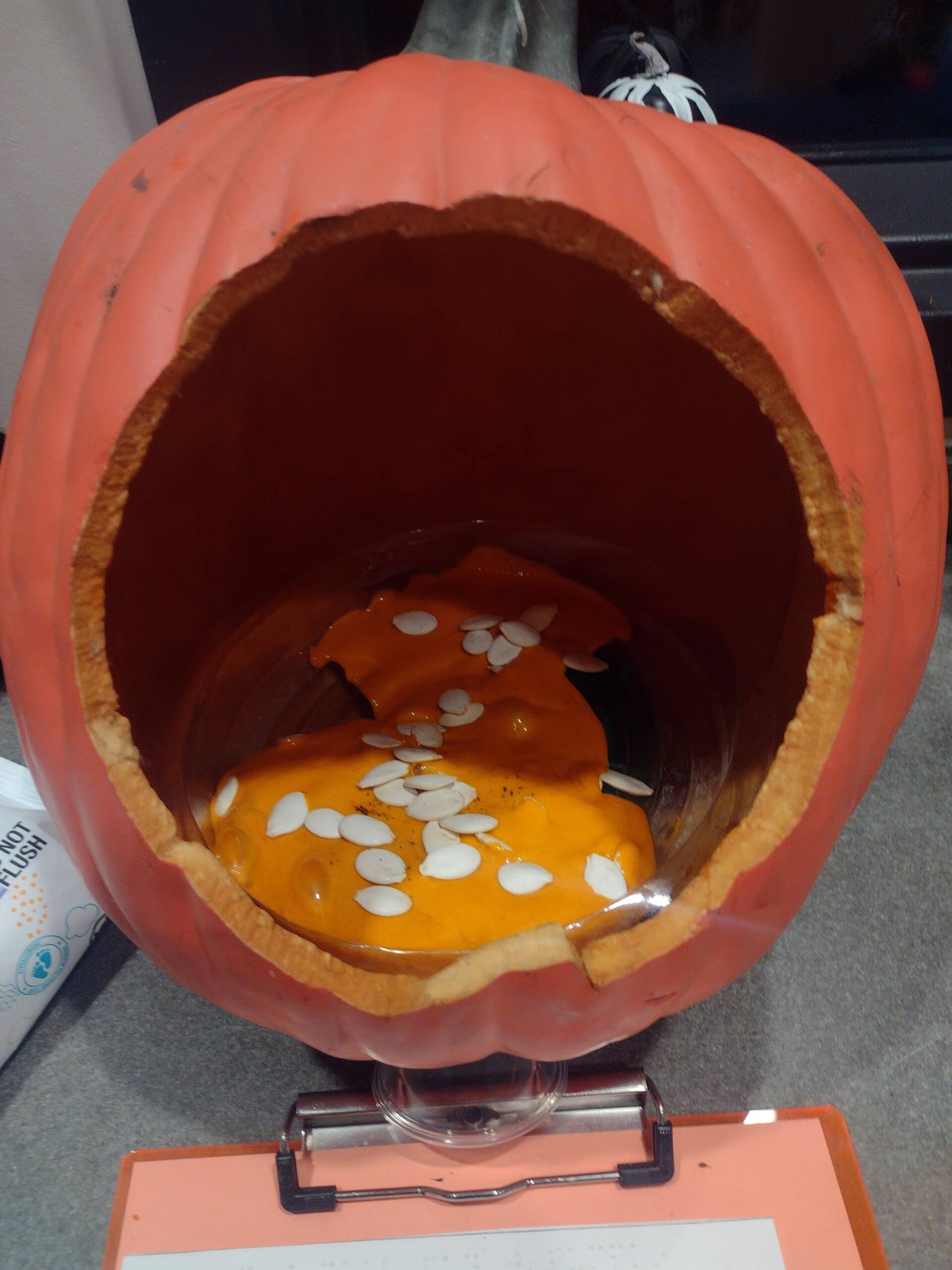 Pumpkins: A Pathway to Literacy and Learning for All – Paths to Literacy
