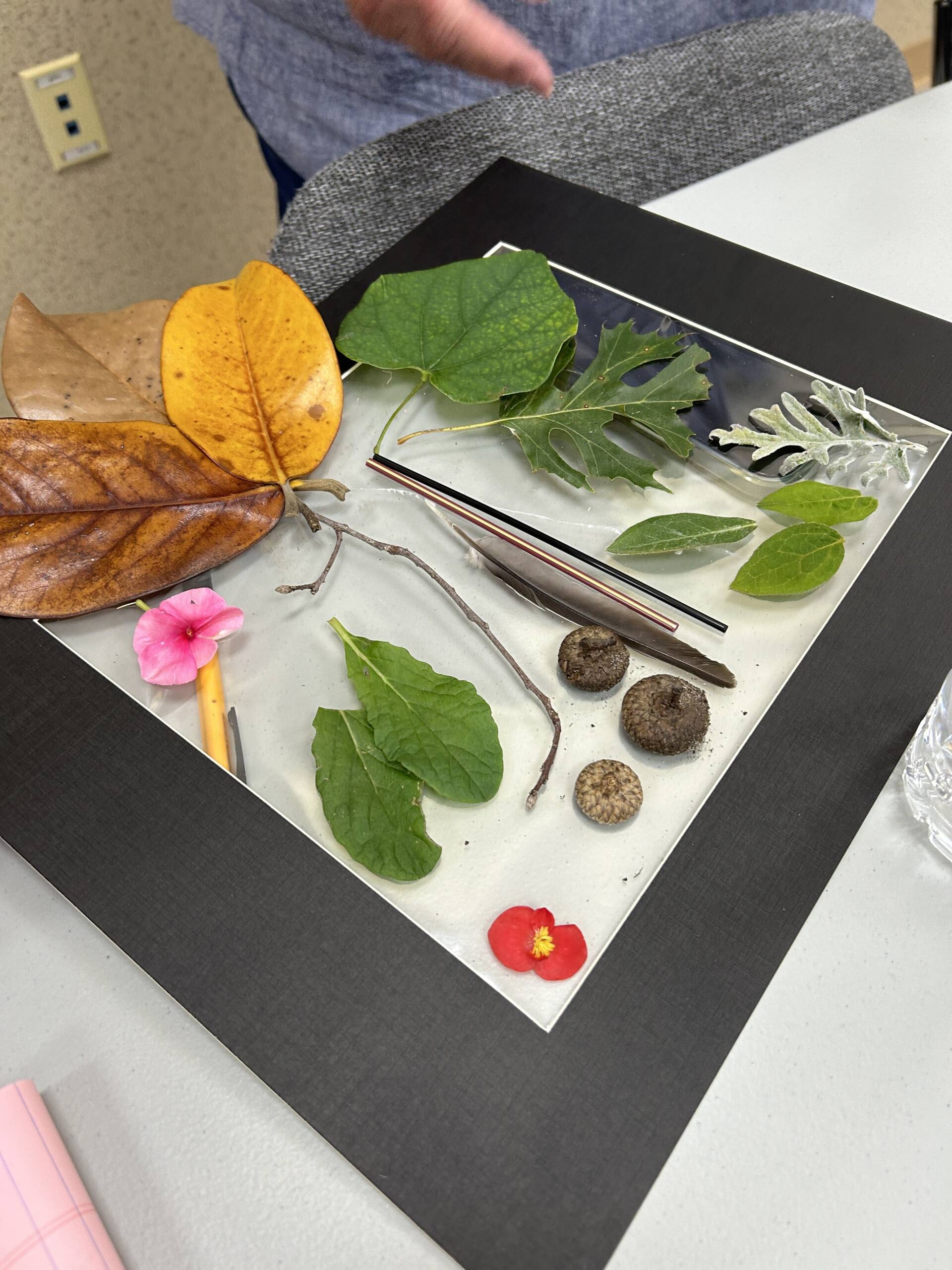 Stick to Nature – Paths to Literacy