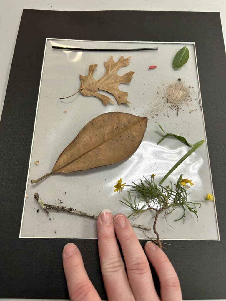 Stick to Nature – Paths to Literacy