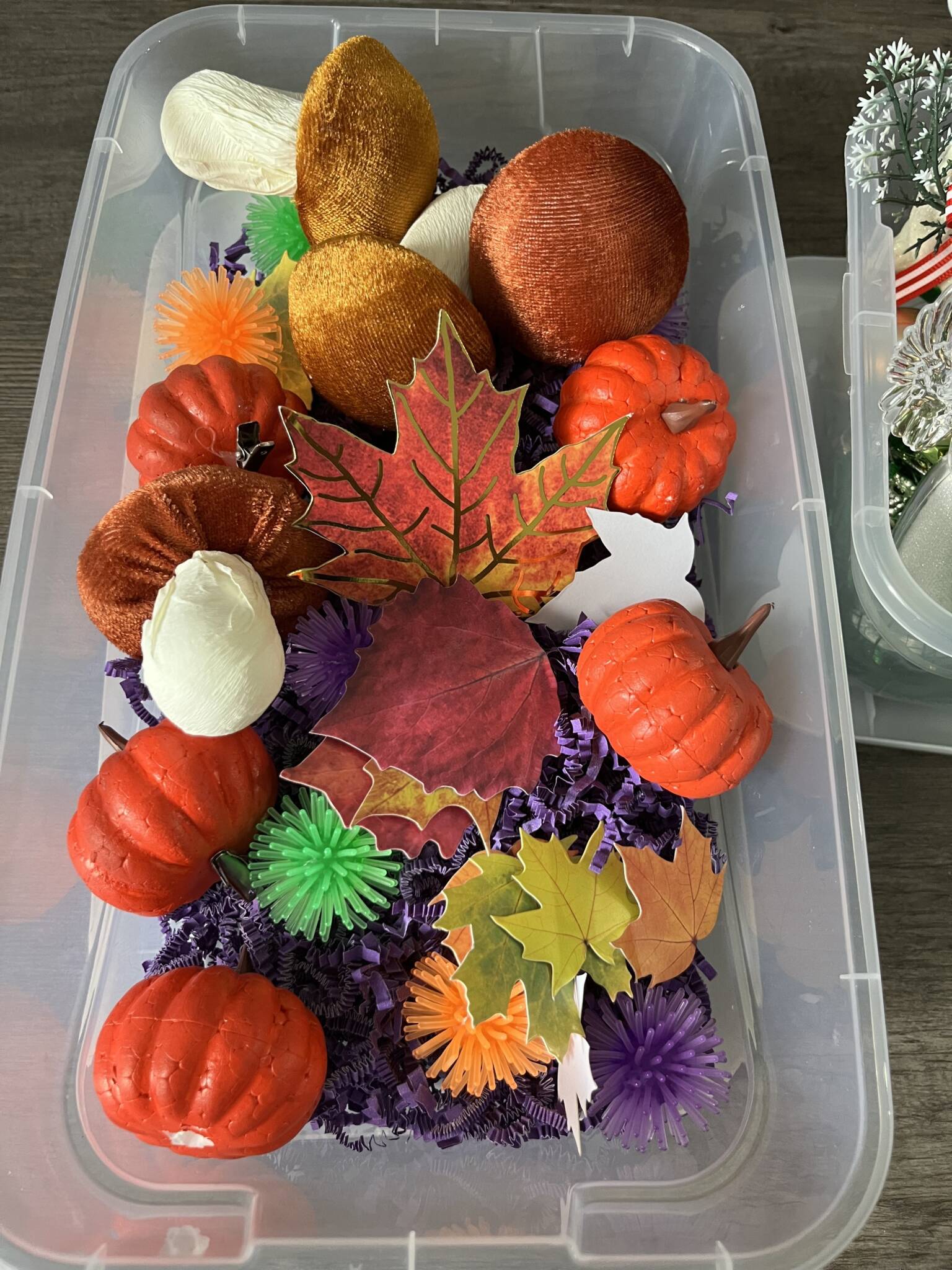 Updating Our Sensory Box for a New Season – Paths to Literacy